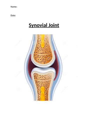 Unit 1: Anatomy & Physiology Package | Teaching Resources