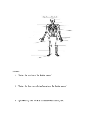 BTEC Sport Level 2 Unit 3 Learning Aim B | Teaching Resources