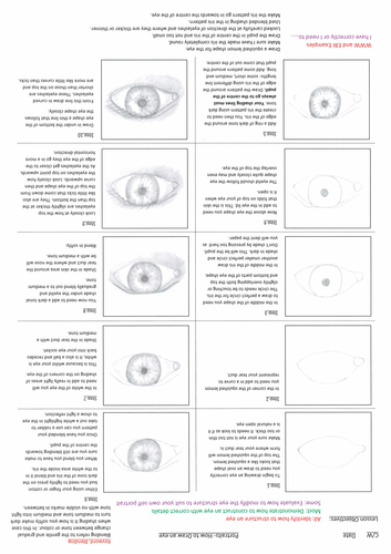 Portraits Step by Step | Teaching Resources