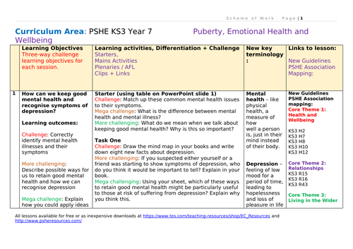 Complete PSHE + RSE Schemes of Work KS3 KS4 KS5 | Teaching Resources