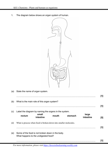 KS3_Secondary 1 checkpoint_worksheet and revision(with answer script ...