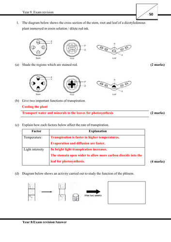 Exam style questions : Science (KS3_IGCSE) with answer script | Teaching Resources