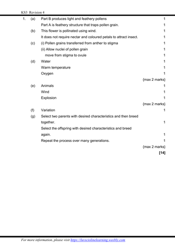 Revision 4 - Exam style questions (KS3, Year 9, IGCSE) | Teaching Resources