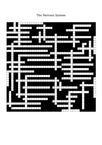 The Nervous System: Crossword | Teaching Resources