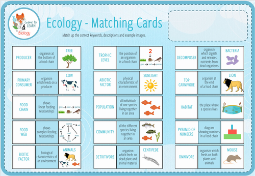 Ecology - Digital Card Sort (KS3/4) | Teaching Resources
