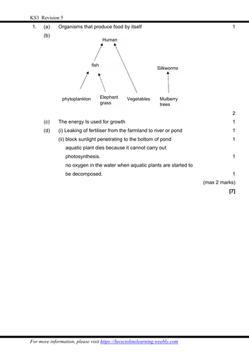 Revision 5 - Exam style questions (KS3, Year 9, IGCSE) | Teaching Resources