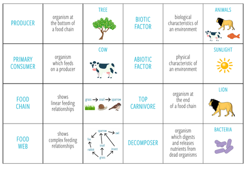 Ecology - Card Sort (KS3/4) | Teaching Resources