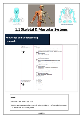 OCR A Level PE - Anatomy and Physiology ILT1 - Muscular Skeletal System ...