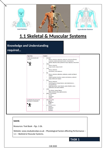 OCR A Level PE - Anatomy and Physiology ILT1 - Muscular Skeletal System ...
