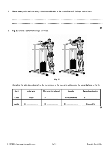 OCR A Level PE - Anatomy and Physiology ILT1 - Muscular Skeletal System ...