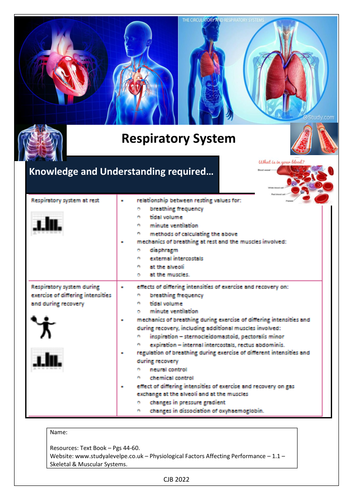 OCR A Level PE - Anatomy and Physiology ILT2 - Respiratory ...