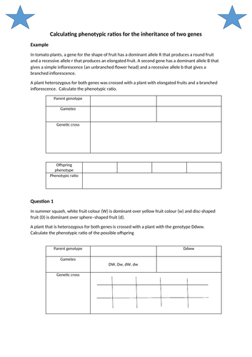 Inheritance of two genes (Edexcel A-level Biology B) | Teaching Resources