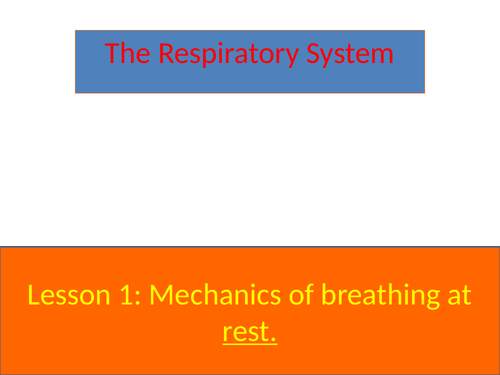 A Level PE: Mechanics of breathing | Teaching Resources