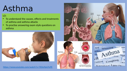 Anatomy and Physiology: Asthma, Health and Social Care CTECH level 3 ...