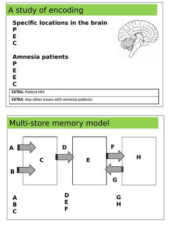 GCSE Psychology (AQA) Memory: Complete SoW (20 lessons) | Teaching ...