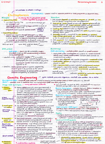 OCR A Level Biology Manipulating Genomes Revision Poster | Teaching ...