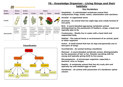 whole school yr 1 - yr 6 science Knowledge Organisers | Teaching Resources