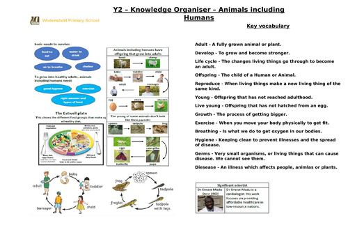 whole school yr 1 - yr 6 science Knowledge Organisers | Teaching Resources