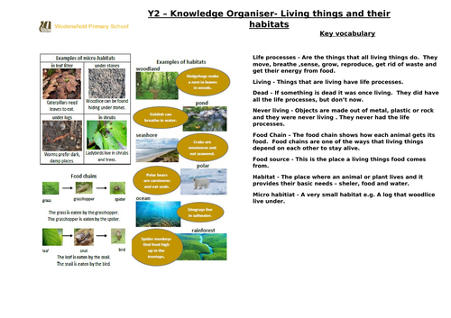 whole school yr 1 - yr 6 science Knowledge Organisers | Teaching Resources