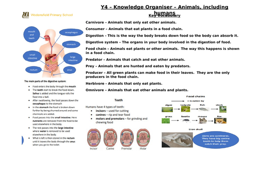 whole school yr 1 - yr 6 science Knowledge Organisers | Teaching Resources
