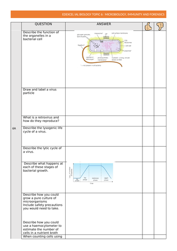 IAL Edexcel Biology Unit 4 Revision Practice | Teaching Resources IAL Edexcel Biology Unit 4 Revision Practice | Teaching Resources