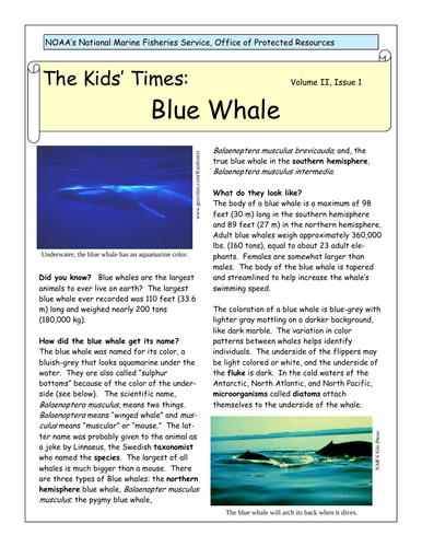 The Storm Whale: Planning and Writing an Acrostic Poem | Teaching Resources