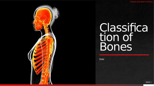 2. Classification of Bones | Teaching Resources