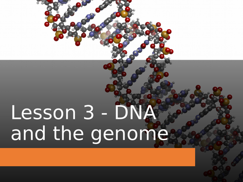 AQA GCSE Biology (9-1) B13.4 - DNA and the genome FULL LESSON ...