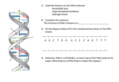 AQA GCSE Biology (9-1) B13 Reproduction - ALL LESSONS | Teaching Resources