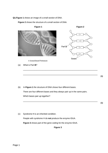 AQA GCSE Biology (9-1) B13. 6 - Gene expression and mutation - FULL ...