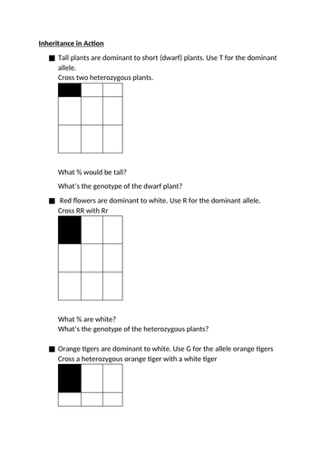 AQA GCSE Biology (9-1) B13.7 - Inheritance in action FULL LESSON ...