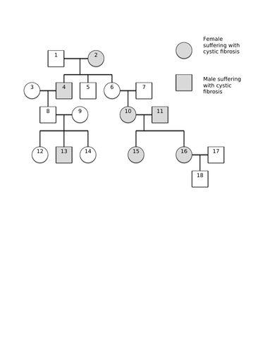Aqa Gcse Biology 9 1 B13 9 Inherited Disorders Full Lesson Teaching Resources