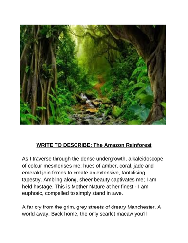 Model example for write to describe - KS3 KS4 - Amazon Rainforest ...