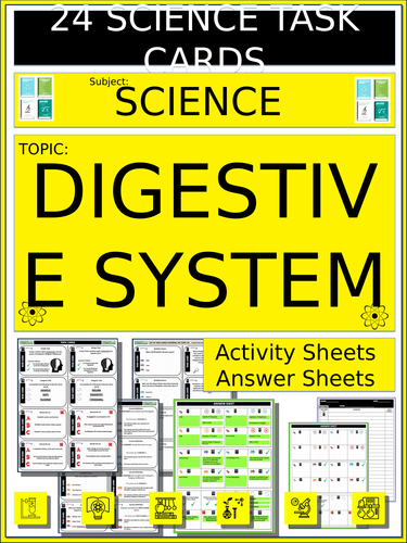 Human Digestive System | Teaching Resources