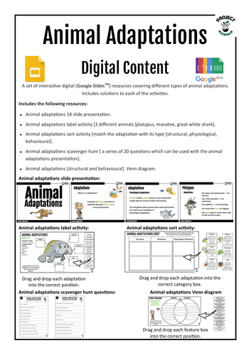 Animal Adaptations Digital Resources Pack - Distance Learning ...