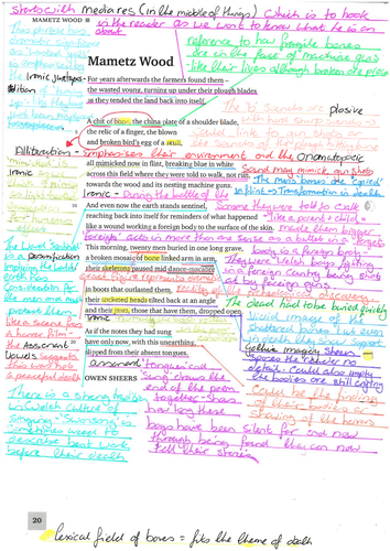 'Mametz Wood' Annotations | Teaching Resources