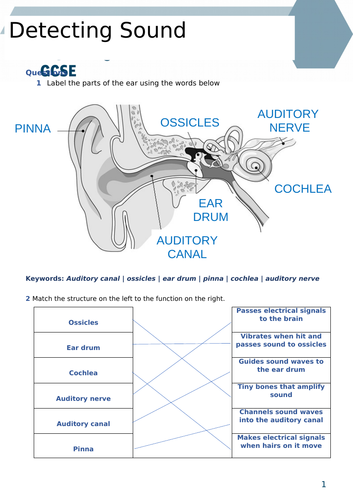 Detecting Sound | Teaching Resources