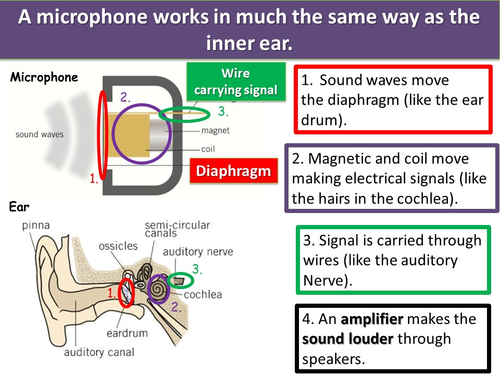 Detecting Sound | Teaching Resources