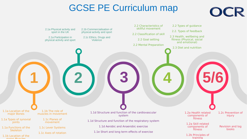 OCR GCSE PE Curriculum pathway | Teaching Resources