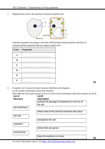 KS3_Secondary 1 checkpoint_worksheet and revision(with answer script ...