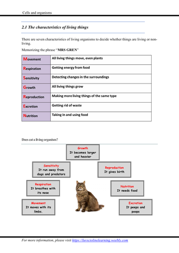 KS3_Secondary 1 checkpoint_worksheet and revision(with answer script ...