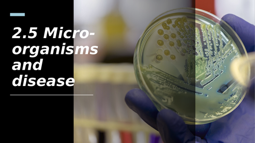 KS3_Secondary 1 checkpoint_worksheet and revision(with answer script ...