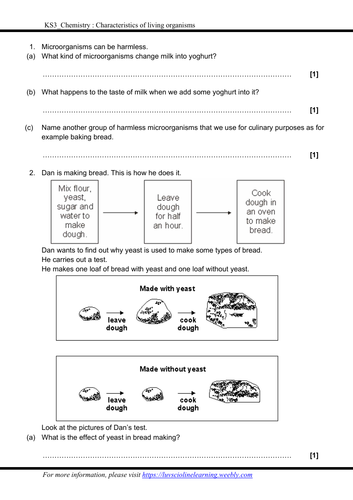 KS3_Secondary 1 checkpoint_worksheet and revision(with answer script ...