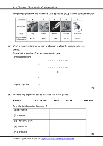 KS3_Secondary 1 checkpoint_worksheet and revision(with answer script ...