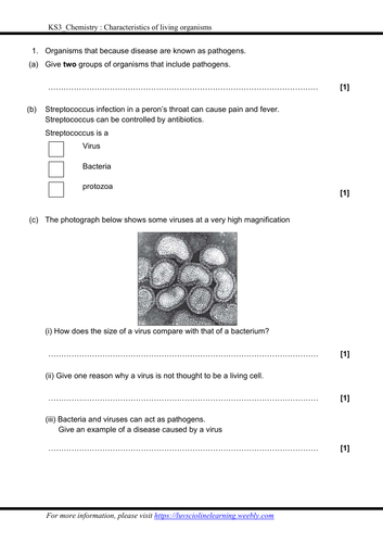 KS3_Secondary 1 checkpoint_worksheet and revision(with answer script ...