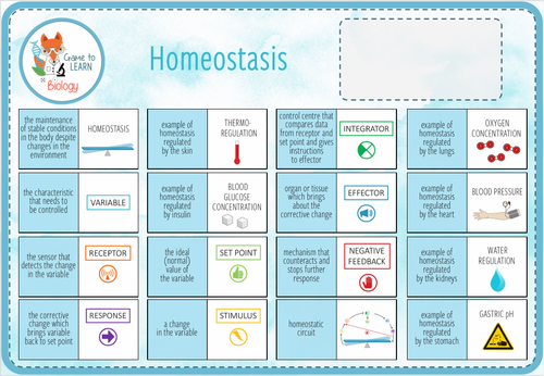 Homeostasis - Digital Card Sort (KS4) | Teaching Resources