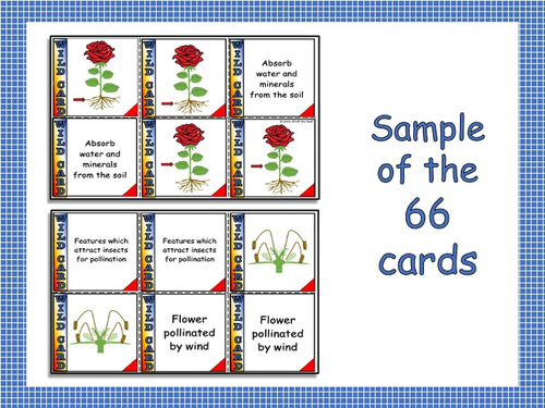Plant Anatomy and Life Cycle - Wildcard and Snap Card Games for KS3 ...