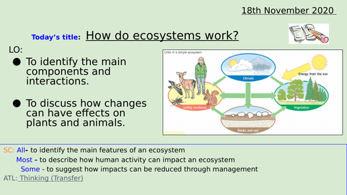 How do ecosystems work? | Teaching Resources