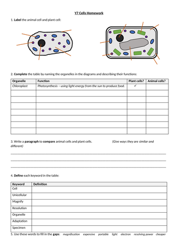 Cells Homework/Revision Worksheet (Specialised Cells, Microscopes ...