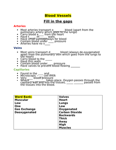OCR GCSE PE 9-1 Blood Vessels Worksheet Cardiovascular System ...